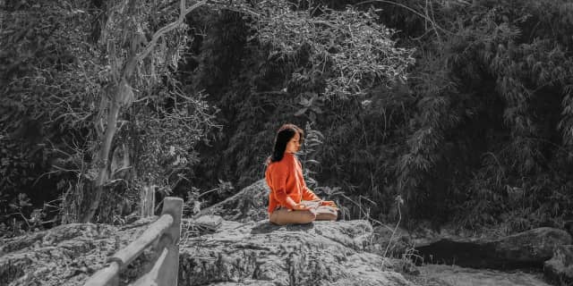 Small Habits, Big Wins: How Tiny Changes Can Transform Your Life ...